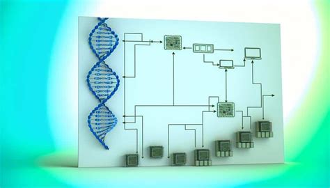 Implementing Machine Learning Through Genetic Algorithms A Guide