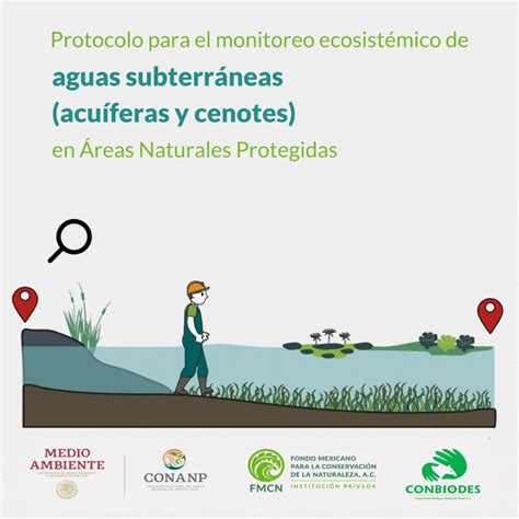 Fondo Mexicano Para La Conservación De La Naturaleza En Linkedin