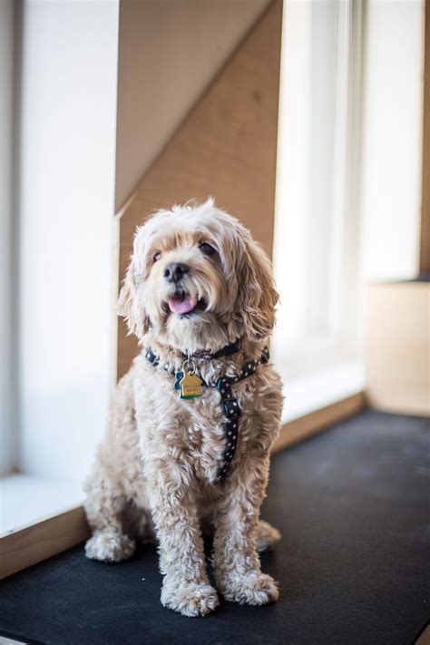 What The Pluck A Look At The Activerecord Pluck Method By Mary Kang