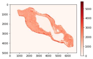 Session Raster Data Analysis