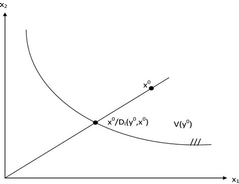 Radial Input Distance Function Download Scientific Diagram