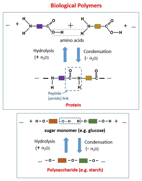 Igcse Chemistry 5c Synthetic Polymers Organic Chemistry Pdf