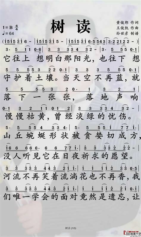 树读简谱王俊凯歌曲孙世彦曲谱 简谱 琴艺谱