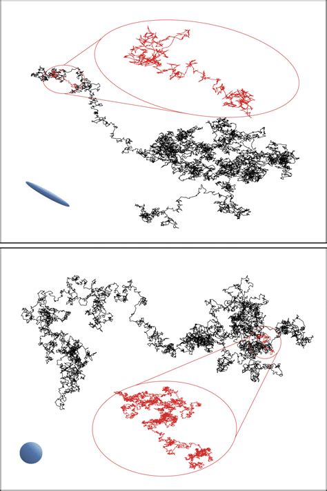 各向异性物体的扩散轨迹分析 The Journal Of Chemical Physics X Mol