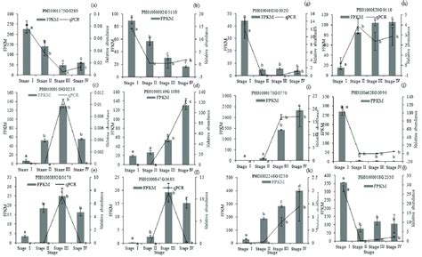 Transcript Abundance And Relative Abundance Of Genes A F Genes Download Scientific Diagram