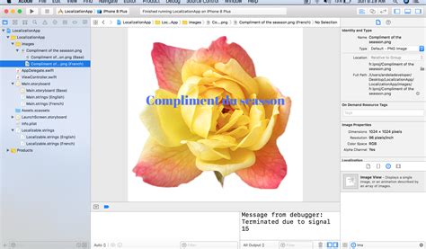 localization of ios app in swift 4 and xcode 9 by onyekachi ezeoke codeburst