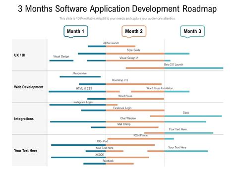 3 Months Software Application Development Roadmap Download