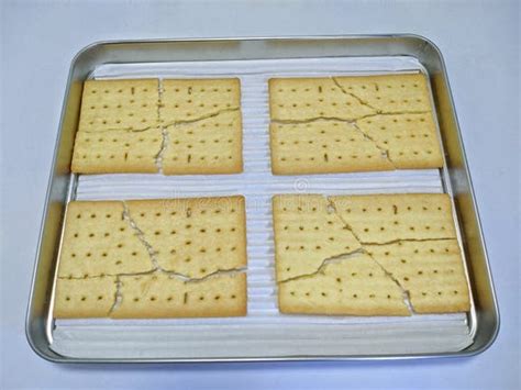 Four Rectangular Club Crackers Some Broken Stock Image Image Of Close Four 376416307