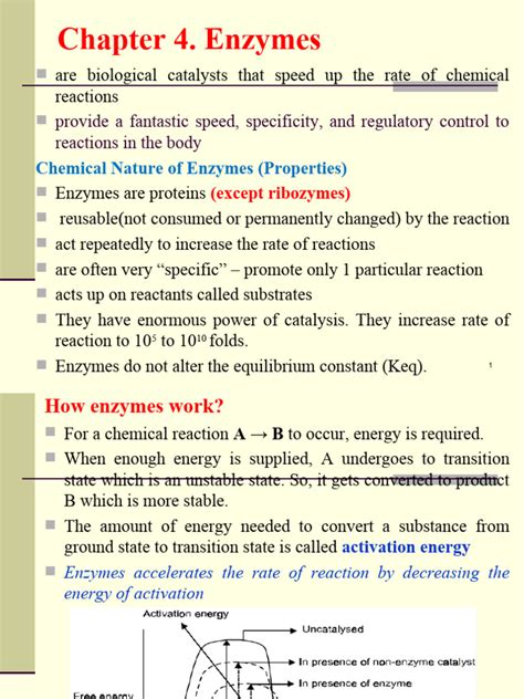 Enzymes Pdf Enzyme Inhibitor Enzyme