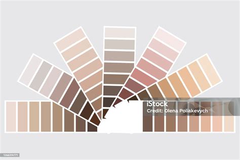 색상표 베이지 색 세트의 색조 파스텔 색상의 팔레트 다른 피부 톤의 팔레트 벡터 이미지입니다 스톡 사진 색상 묘사에 대한 스톡 벡터 아트 및 기타 이미지 Istock