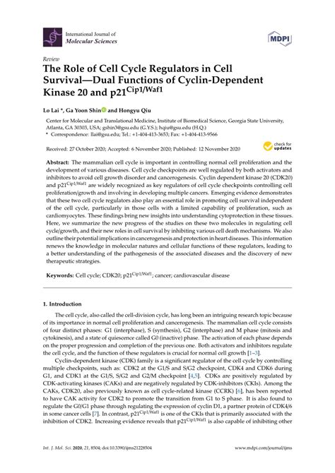 Pdf The Role Of Cell Cycle Regulators In Cell Survival—dual Functions Of Cyclin Dependent