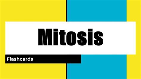 Mitosis Flashcards By Amy Bland Tpt