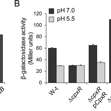 Cpxr Cpxa Controls The Expression Of The Scs Locus A Galactosidase Download Scientific