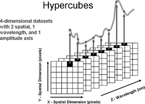 Hyperspectral Imaging Generates A Four Dimensional Dataset Termed An