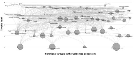 2 The Celtic Sea Ecopath Model In Terms Of Relative Biomass Size Of