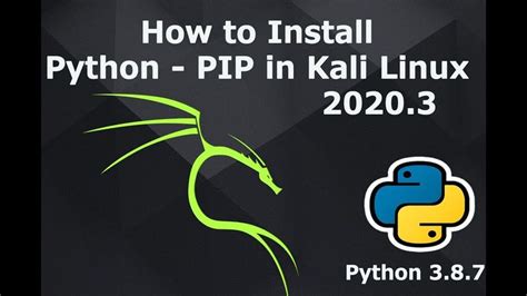 How To Install Python And Pip In Kali Linux 20203 Python 387 Teaching Computer Hardware