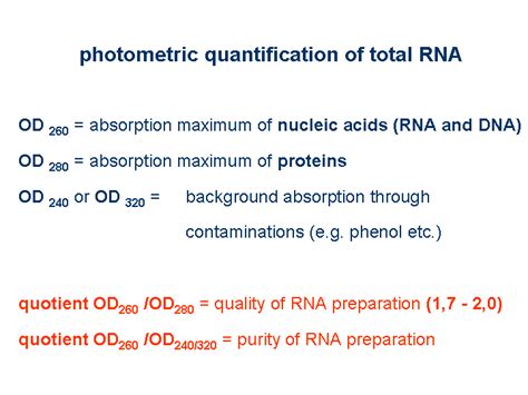 Gene Quantification MRNA Analysis Methods MRNA Quantification