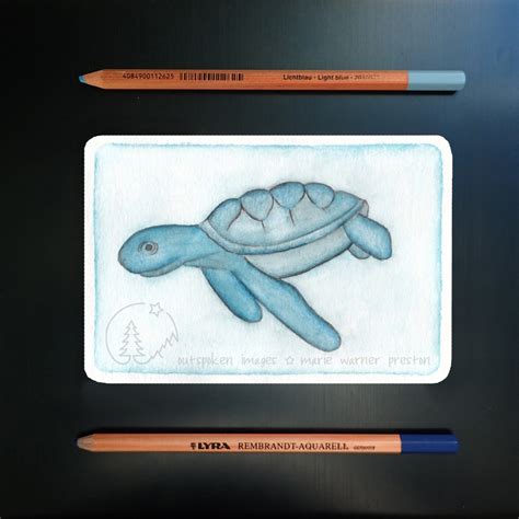 Hawksbill Outspoken Images By Marie Warner Preston