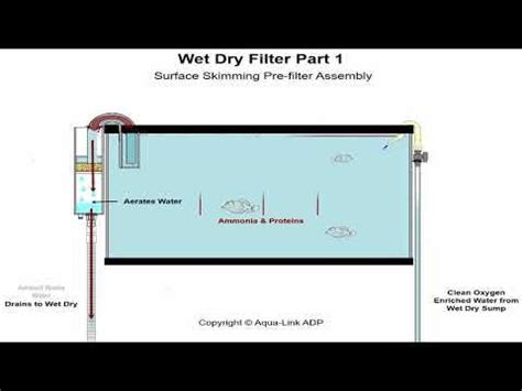 Aquarium Wet Dry Filters How Do They Work YouTube Wet And Dry Aquarium Setup Wet