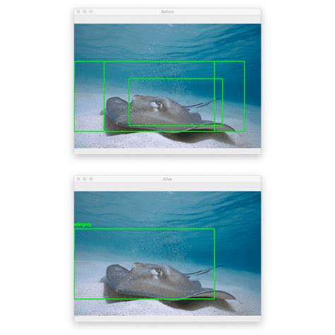 Turning Any Cnn Image Classifier Into An Object Detector With Keras Tensorflow And Opencv