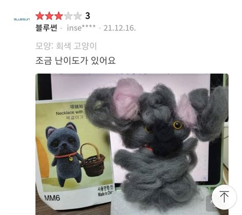 양모펠트 고양이 만들기 후기 인스티즈 Instiz 이슈 카테고리