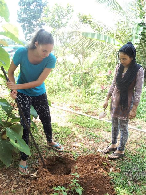 Tree Plantation In Community Through Trees For India FSL BLOG