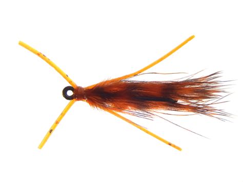 Fly Carpin 2014 Fly Swap Cliftons Carp Bug 20