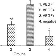 Effect Of Bifidobacterium Infantis Mediated Ptrkh2 Pst Sflt 1 Delivery