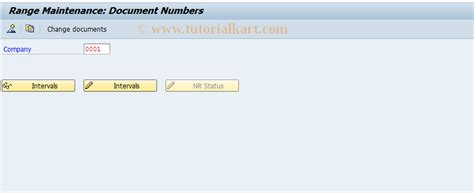 Fbicsnrodoc Sap Tcode Number Range Maintenance Fbicrcdoc