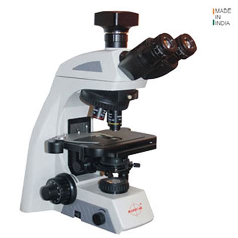 Digital Research Microscope At Best Price In Ambala Cantt Haryana Radical Scientific