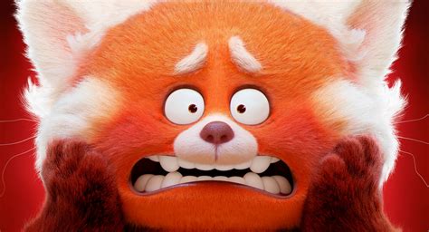 ¿qué Emoción Te Transformaría En El Panda Rojo De Red” Upsocl Quiz