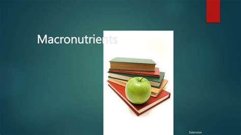 Nutrition Macronutrientspptx