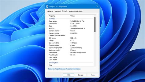 What Is CR2 File Format How To Recover Deleted CR2 Files