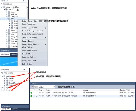 MySql数据库教程 3 利用MySql Workbench 对数据库进行操作 考拉宝贝 博客园