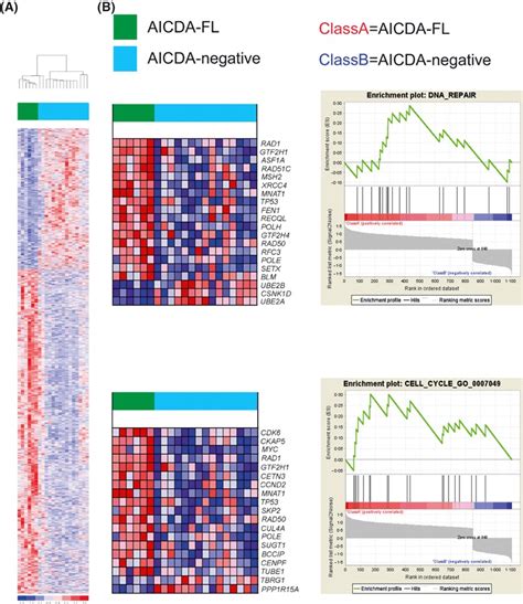 Gene Expression Profiling And Data Analysis Results A Hierarchical
