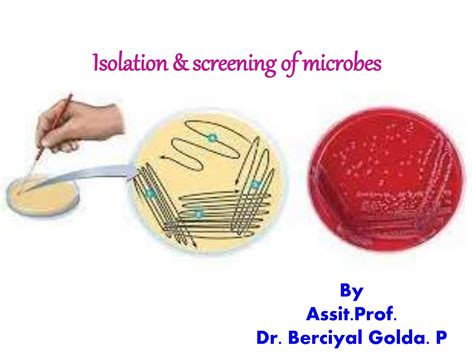 Presentation2unit1isolationscreeningofmicrobes 220424105902pdf