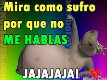 Mira Como Sufro Memes