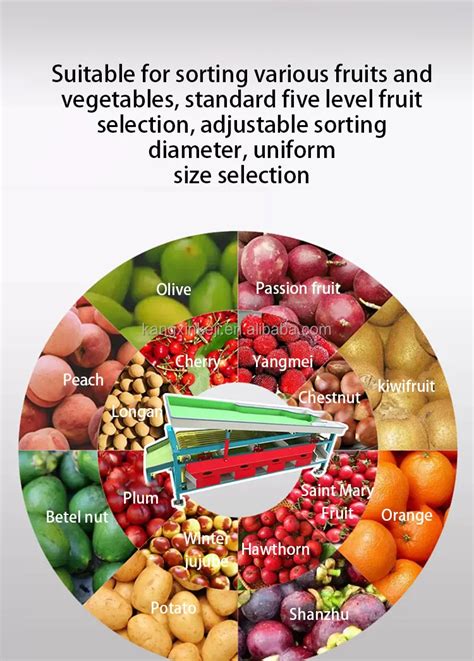 Commercial Jujube Dates Grader Cherry Tomatoes Sorter Passion Fruit