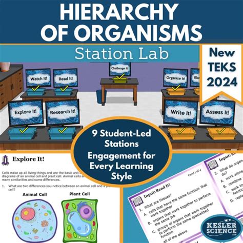 Hierarchy Of Organisms Student Led Station Lab 2021 Teks 713b