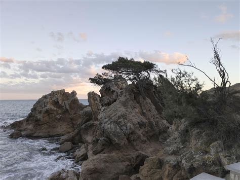 Pixel Processing Onoff Pixel 7a  Vs Raw Rpixelography