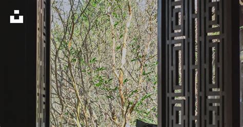 바깥 나무가 보이는 열린 창문 사진 Unsplash의 무료 바이 딘 파고다 이미지