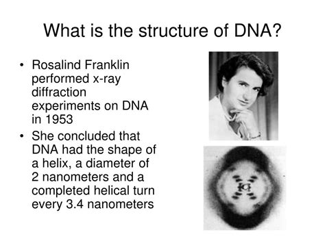 PPT The Structure Of DNA PowerPoint Presentation Free Download ID 3066380