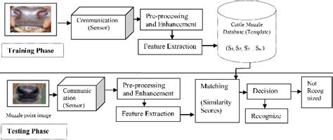 Figure 1 From Poster A Real Time Cattle Recognition System Using Wireless Multimedia Networks