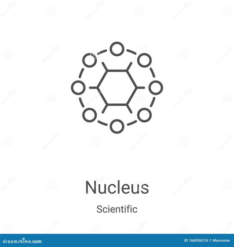 Nucleus Icon Vector From Scientific Collection Thin Line Nucleus