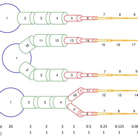 morphologies of the astrocyte compartmental models a linear