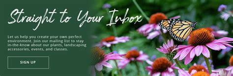 Elements Of Landscape Design Platt Hill Nursery Blog And Advice