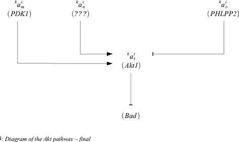 figure 2 from a boolean model of molecular signaling pathways semantic scholar