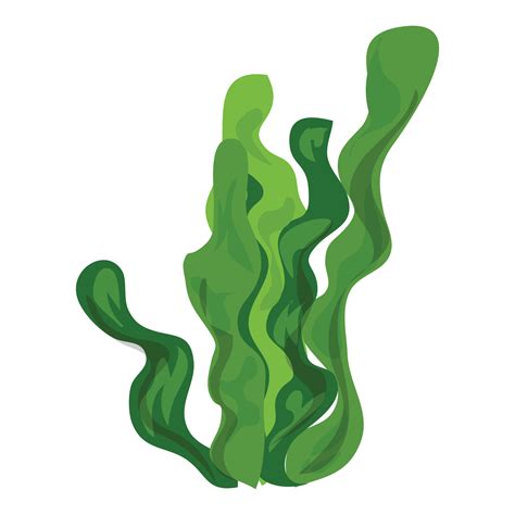 Diagrama De Algas Verdes Rotulado Estructura De Las Algas Verdes Con