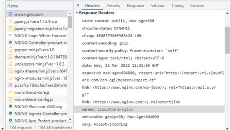 What Is Nginx An Assessment Of The Fundamentals Wp Fixall
