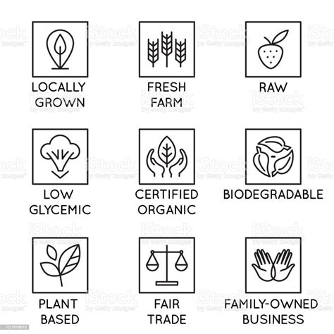 벡터는 디자인 요소 로고 디자인 서식 파일 아이콘 및 자연 및 유기농 화장품과 유행 선형 스타일에 제품에 대 한 배지 설정 공정 거래에 대한 스톡 벡터 아트 및 기타 이미지